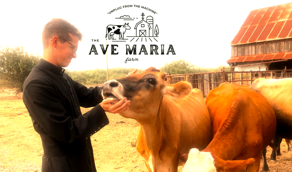 Welcome to the Ave Maria Farm - The Ave Maria Farm