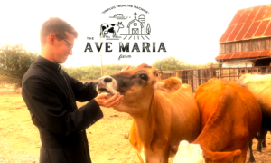 About - The Ave Maria Farm