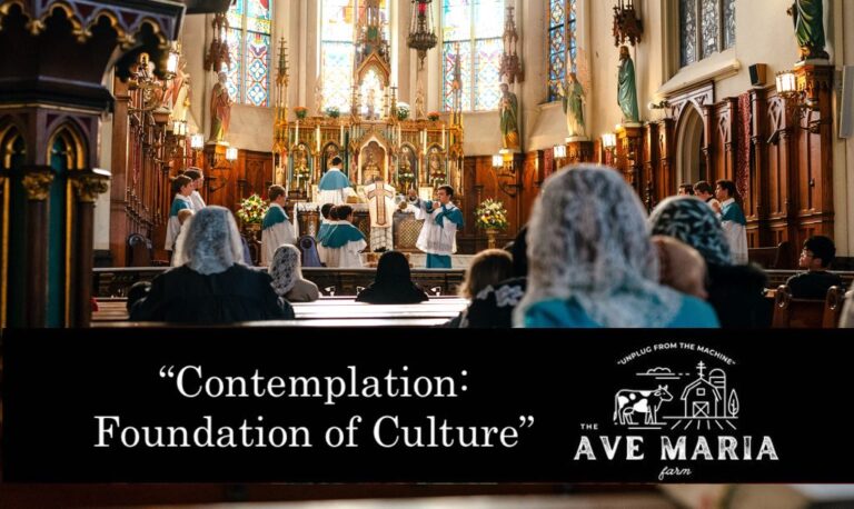 Contemplation: Foundation of Culture - The Ave Maria Farm