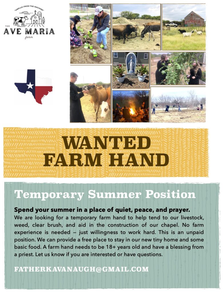 Farm Hand Wanted - Summer Position - The Ave Maria Farm