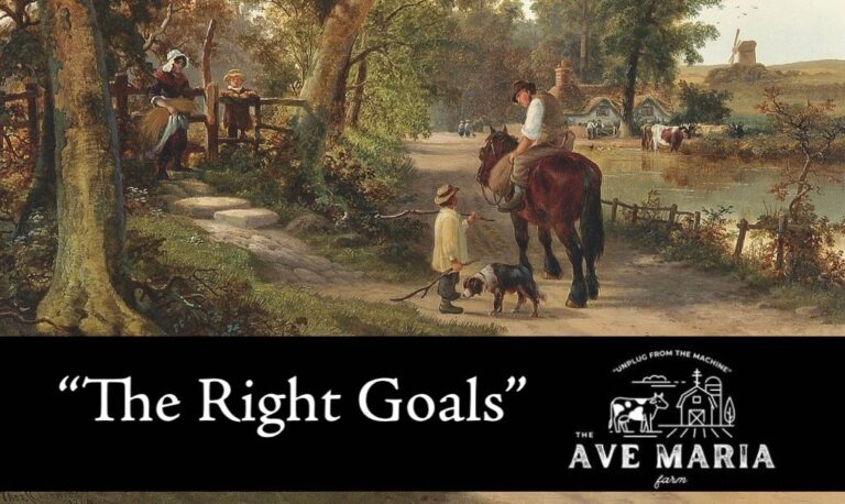 Enlightenment in the Day to Day: The Right Goals - The Ave Maria Farm