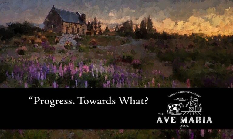 Progress. Towards What? - The Ave Maria Farm