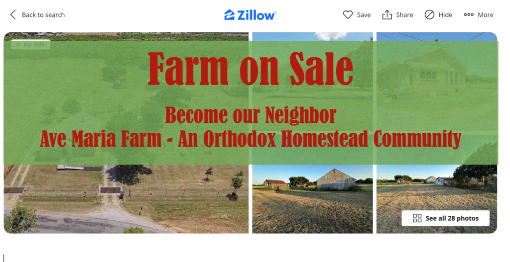 Want to Start Your Own Farm? - The Ave Maria Farm